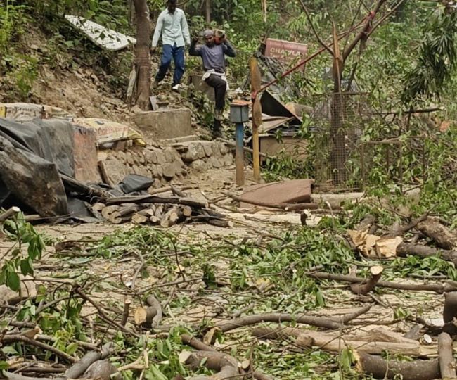 हरिद्वार में लगातार काटे जा रहे हैं पेड़, पर्यावरण प्रेमियों ने जताई ...